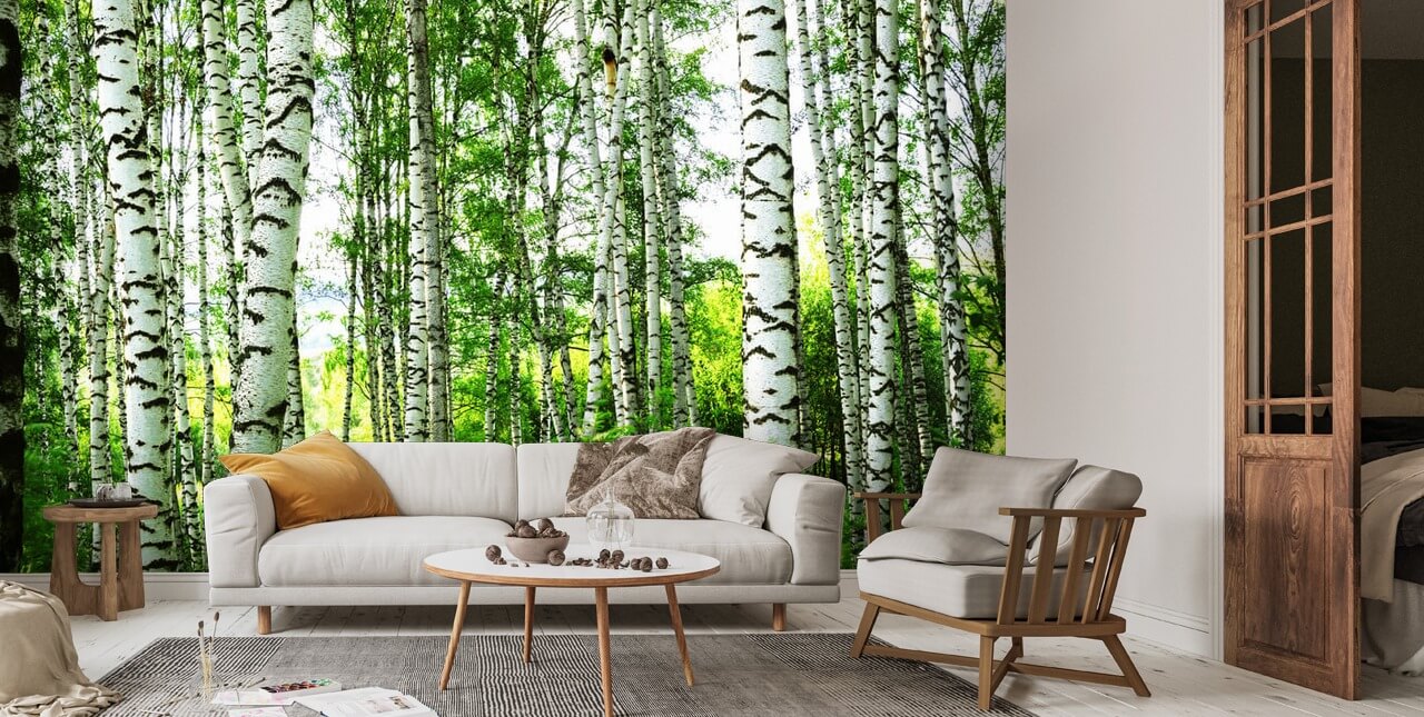 Summer in Sunny Birch Wallpaper | Wallsauce UK
