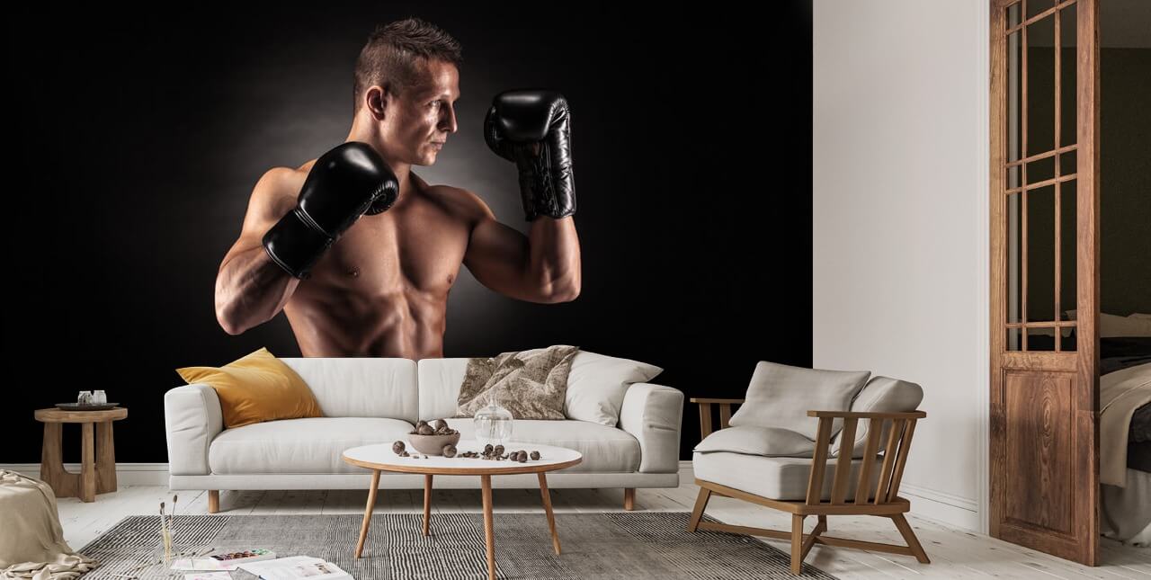 Boxer Wall Mural | Wallsauce US