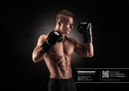 Boxer Wall Mural | Wallsauce US