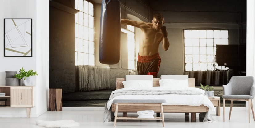 MMA Wallpaper & Martial Arts Murals | Wallsauce UK