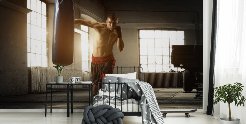 MMA Wallpaper & Martial Arts Murals | Wallsauce US