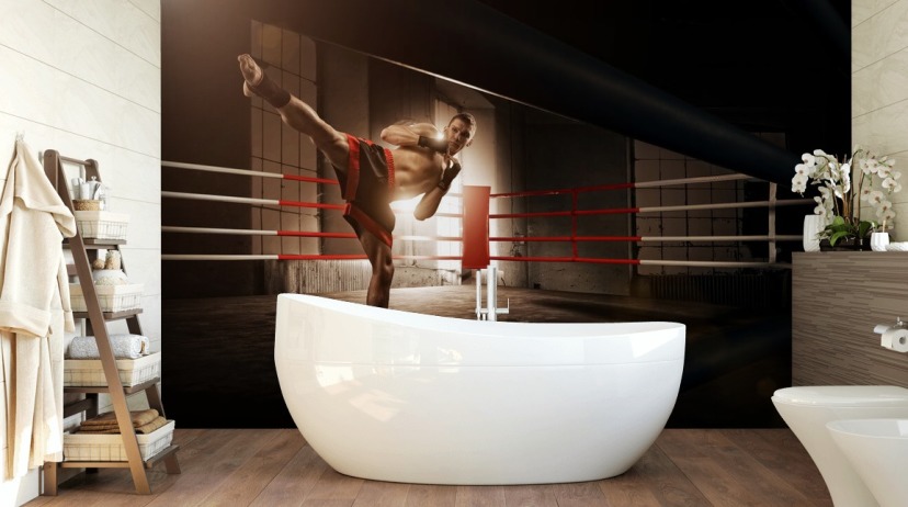 MMA Wallpaper & Martial Arts Murals | Wallsauce AU