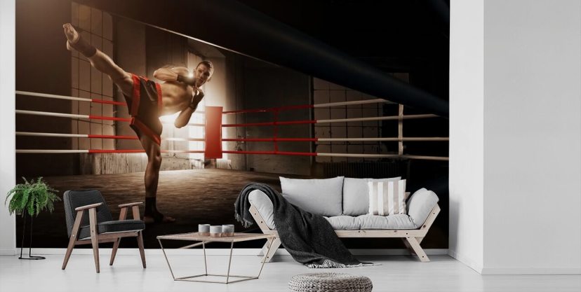 MMA Wallpaper & Martial Arts Murals | Wallsauce UK