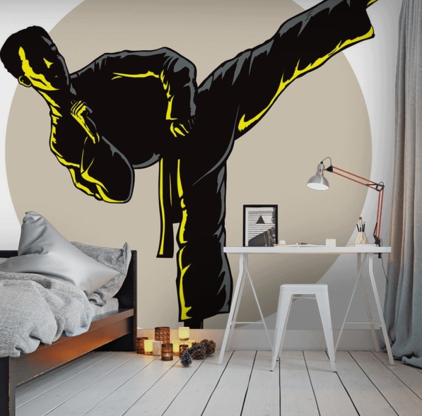 MMA Wallpaper & Martial Arts Murals | Wallsauce US