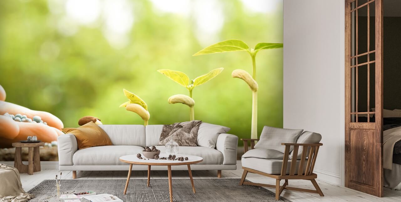 Hand nurturing young baby plants growing in germination sequence on ...