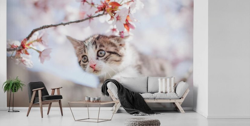 Cat Wallpaper & Wall Murals | Wallsauce US