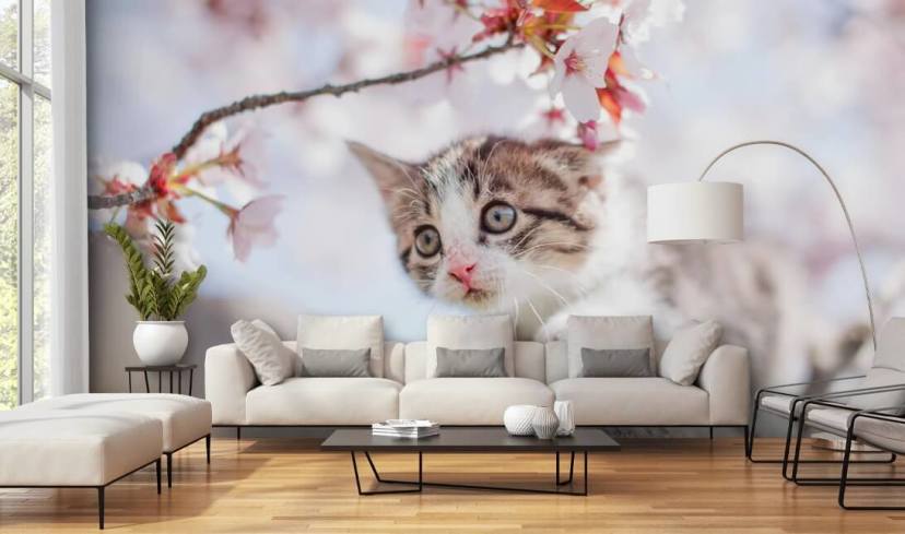 Cat Wallpaper & Wall Murals | Wallsauce US