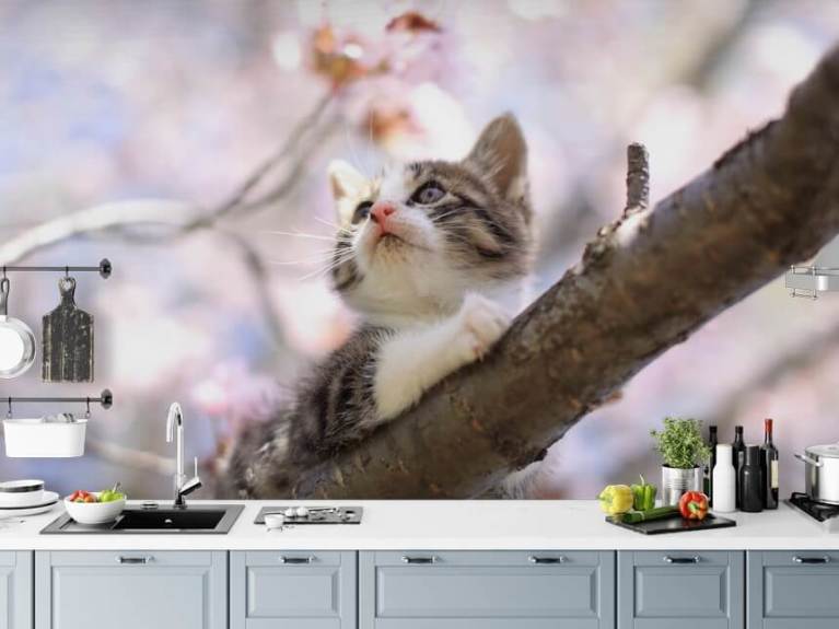 Cat Wallpaper & Wall Murals | Wallsauce US