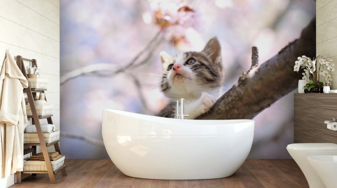 Cat Wallpaper & Wall Murals | Wallsauce US
