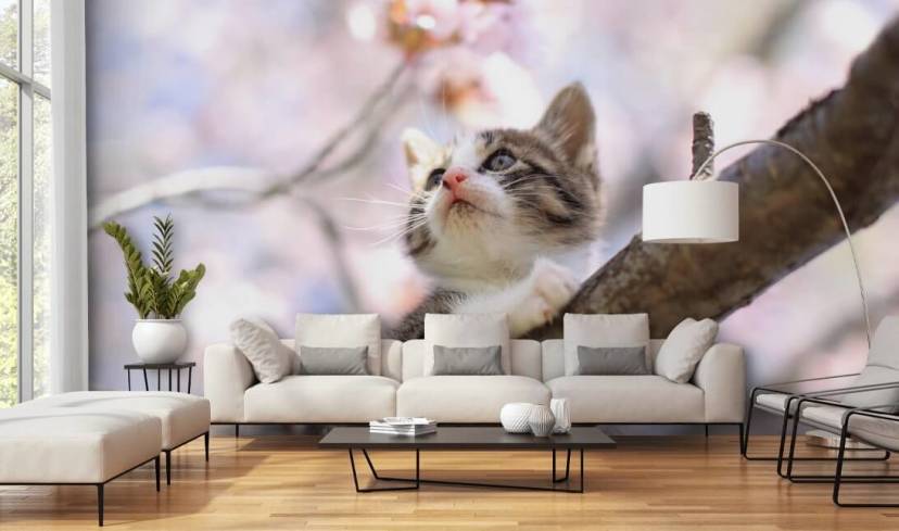 Cat Wallpaper & Wall Murals | Wallsauce US