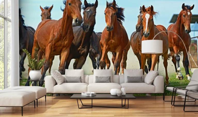Horse Wallpaper & Wall Murals | Wallsauce US
