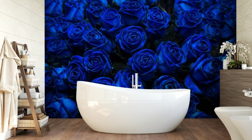 Rose Wallpaper & Wall Murals | Wallsauce AU