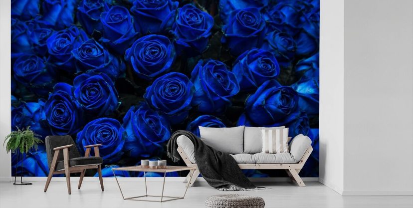 Rose Wallpaper & Wall Murals | Wallsauce UK