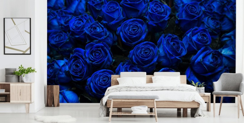 Rose Wallpaper & Wall Murals | Wallsauce UK