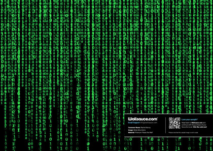 Green Code Wallpaper | Wallsauce UK