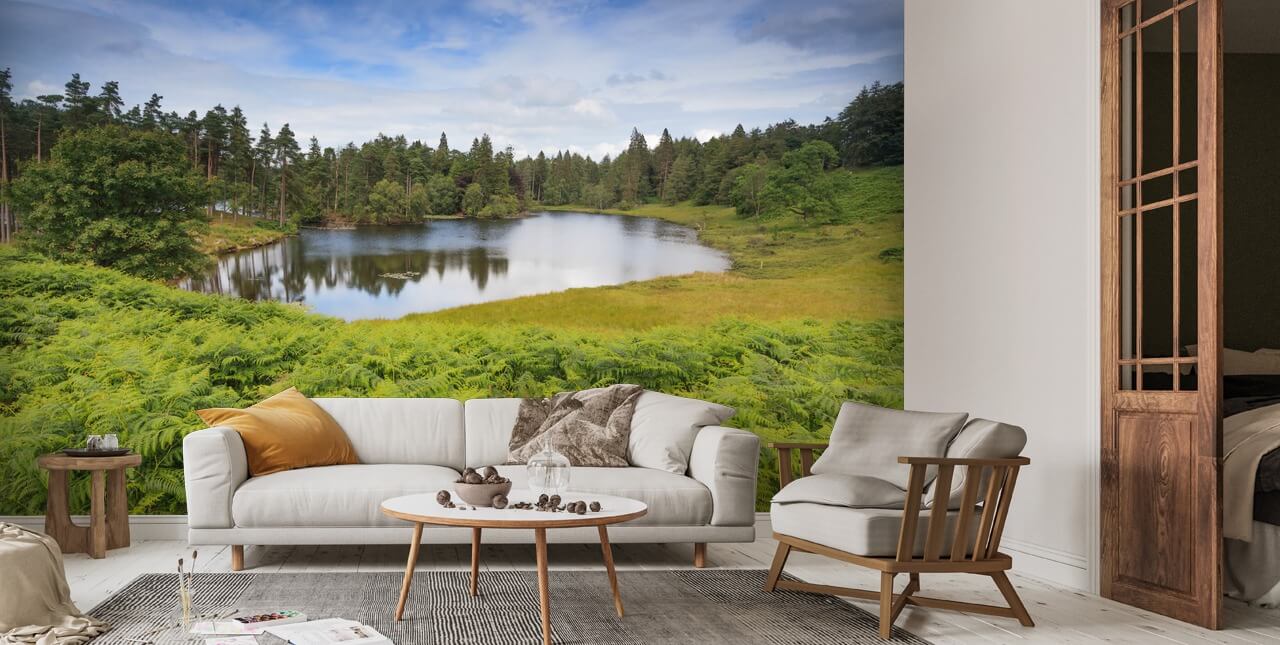 Tarn Hows Lake Wall Mural | Wallsauce US