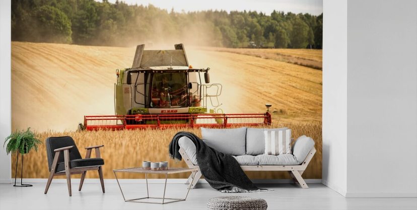 Transport Wallpaper Murals | Wallsauce UK