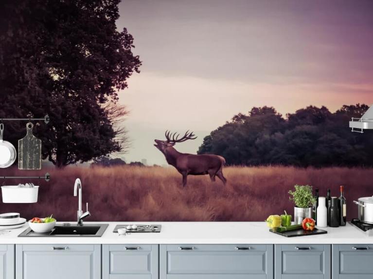 Stag Wallpaper & Deer Wallpaper | Wallsauce EU