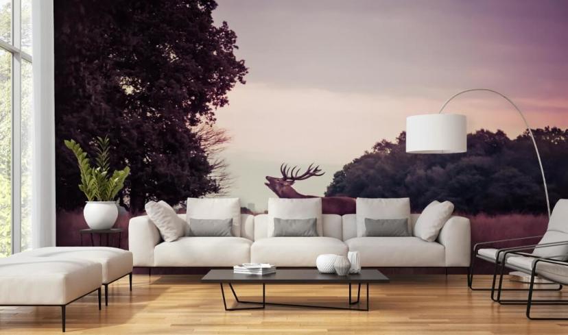 Stag Wallpaper & Deer Wallpaper | Wallsauce NZ