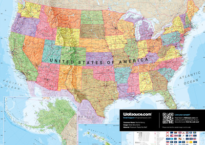 USA Political Map Wall Mural | Wallsauce US
