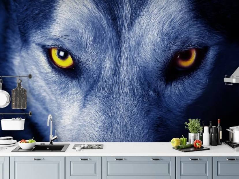 Wolf Wallpaper and Wall Murals | Wallsauce UK