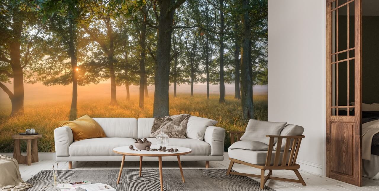 Morning Sun Wallpaper | Wallsauce CA