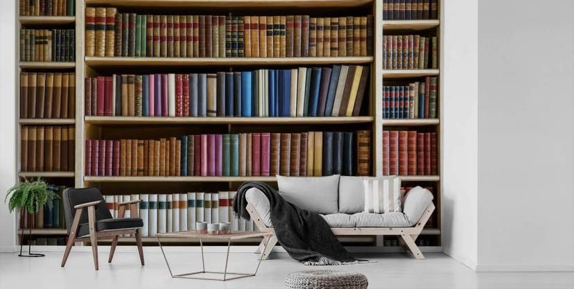 Bookcase Wallpaper & Bookshelf Wall Murals | Wallsauce US
