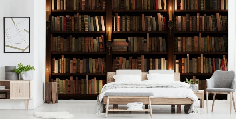 Bookcase Wallpaper & Bookshelf Wall Murals | Wallsauce US
