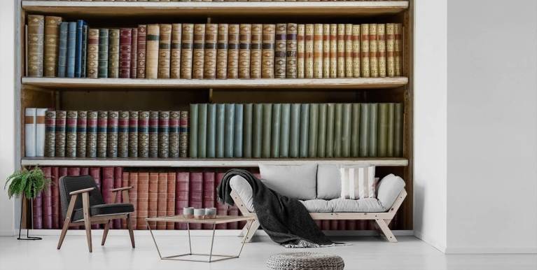 Bookcase Wallpaper & Wall Murals | Wallsauce UK