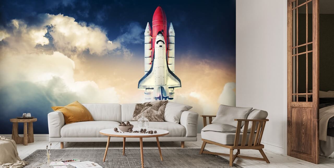 Space Shuttle against Dark Sky Wall Mural | Wallsauce US