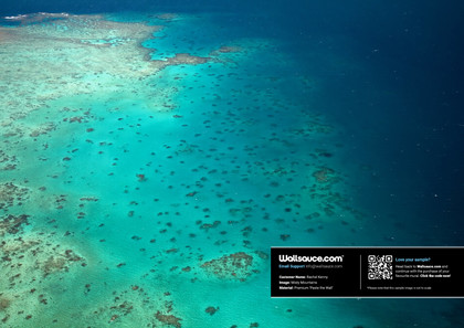 Speckled Barrier Reef Wall Mural | Wallsauce UK
