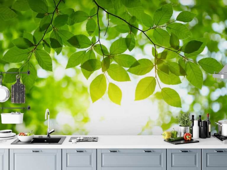 Leaf Wallpaper & Wall Murals | Wallsauce UK