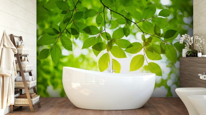 Leaf Wallpaper & Wall Murals | Wallsauce NZ