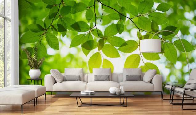 Leaf Wallpaper & Wall Murals | Wallsauce UK