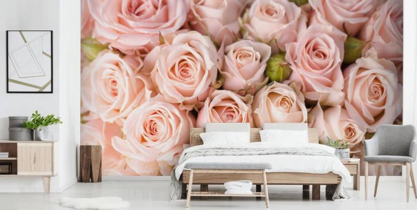 Floral Wallpaper and Flower Wall Murals | Wallsauce AU