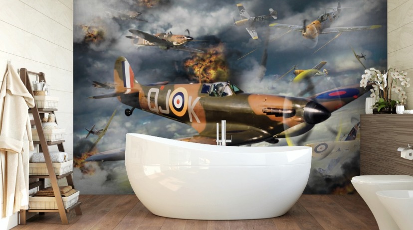 Airplane Wallpaper & Aircraft Wall Murals | Wallsauce US