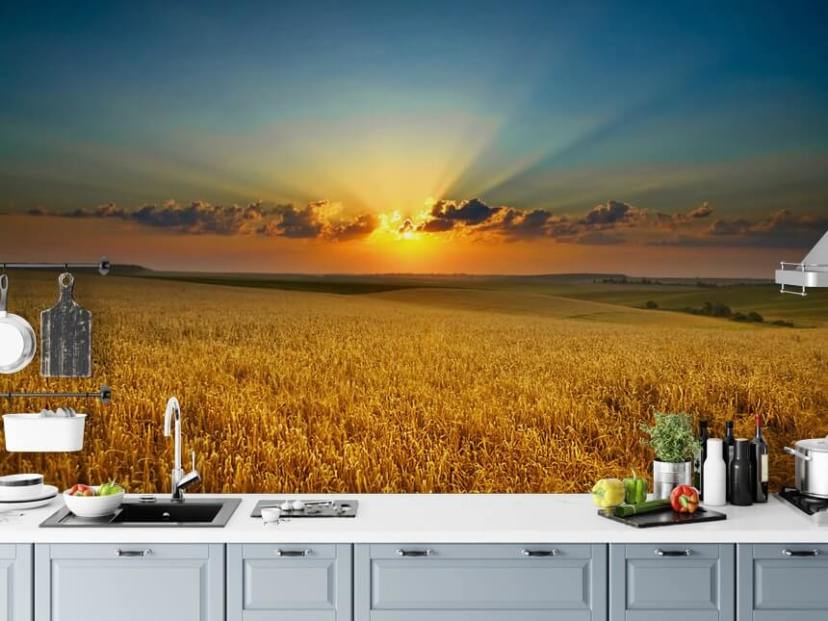 Sunset Wallpaper & Wall Murals | Wallsauce AU