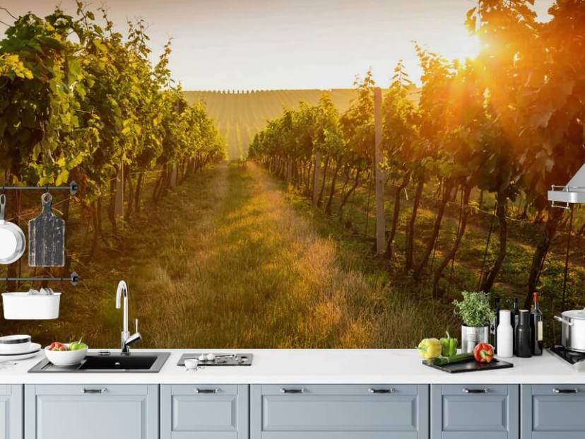 Wine Wallpaper & Wine Cellar Wall Murals | Wallsauce UK