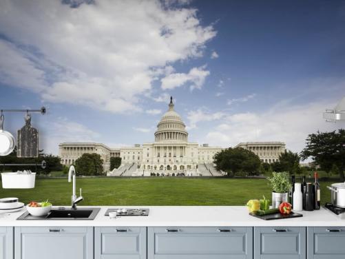 Washington DC Wallpaper & Wall Murals | Wallsauce US