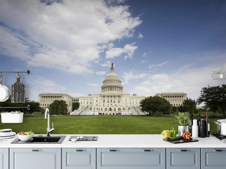 Washington DC Wallpaper & Wall Murals | Wallsauce US