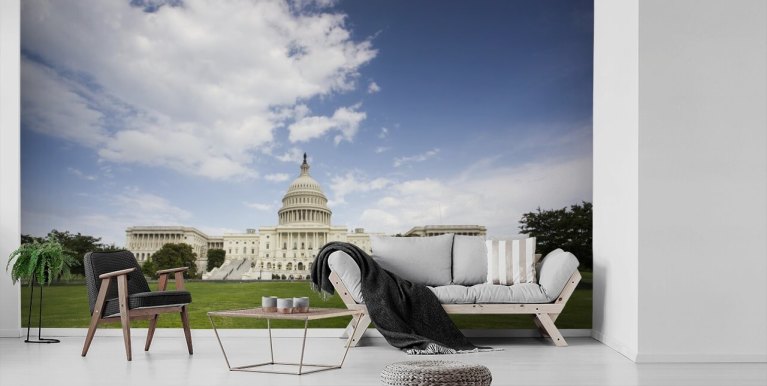 Washington DC Wallpaper & Wall Murals | Wallsauce US
