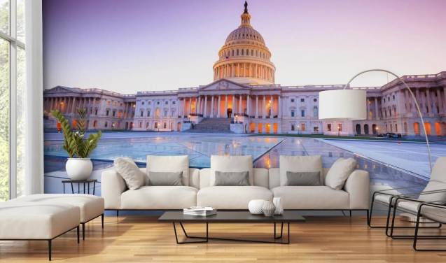 Washington DC Wallpaper & Wall Murals | Wallsauce US