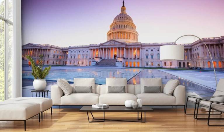 Washington DC Wallpaper & Wall Murals | Wallsauce US