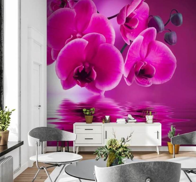 Orchid Wallpaper & Wall Murals | Wallsauce US