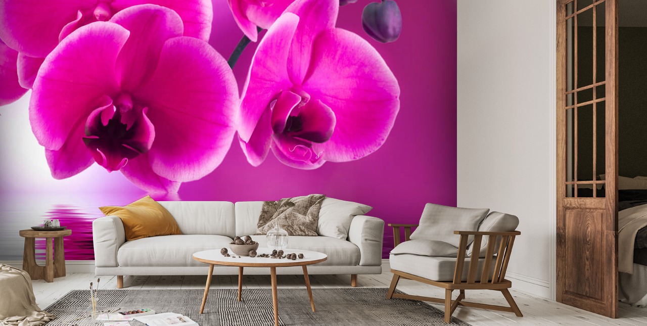 Roze orchideeën behang | Wallsauce NL