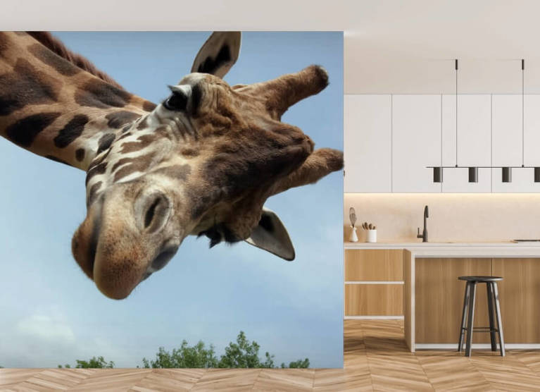 Giraffe Wallpaper & Wall Murals | Wallsauce UK