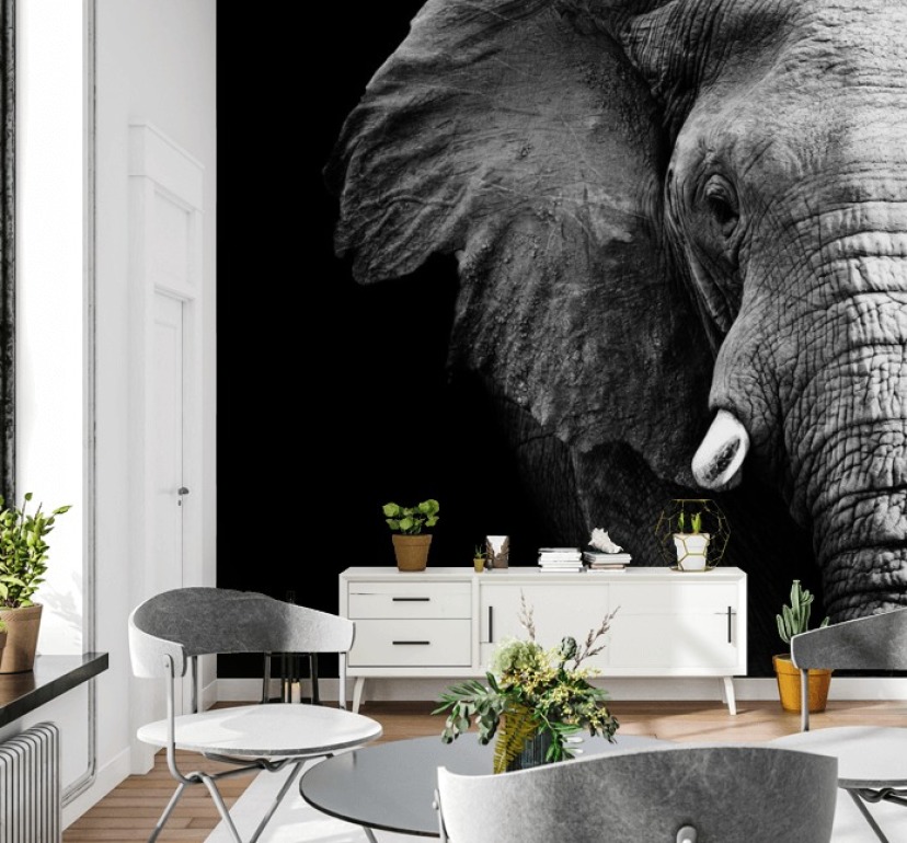 Elephant Wallpaper & Wall Murals | Wallsauce UK