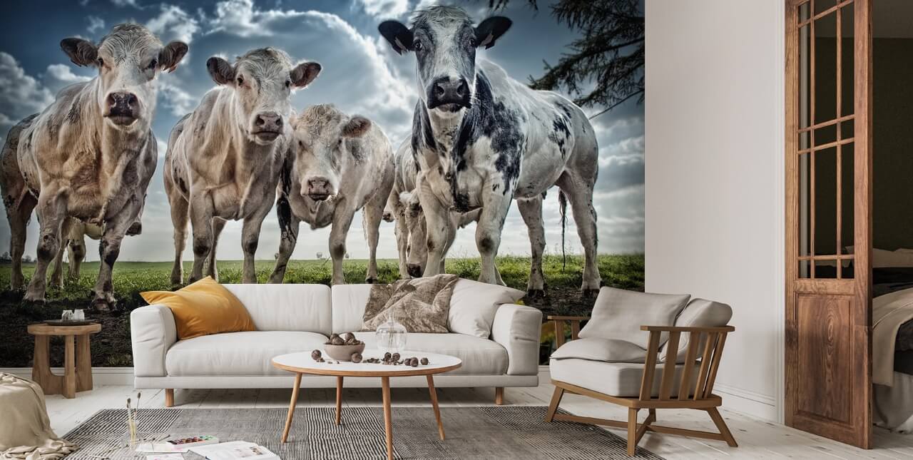 Mooooooo Wall Mural | Wallsauce UK