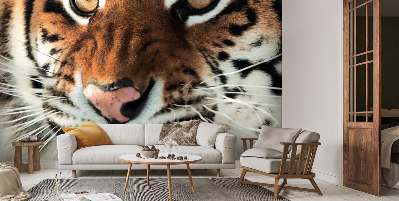 Growling White Tiger Wallpaper