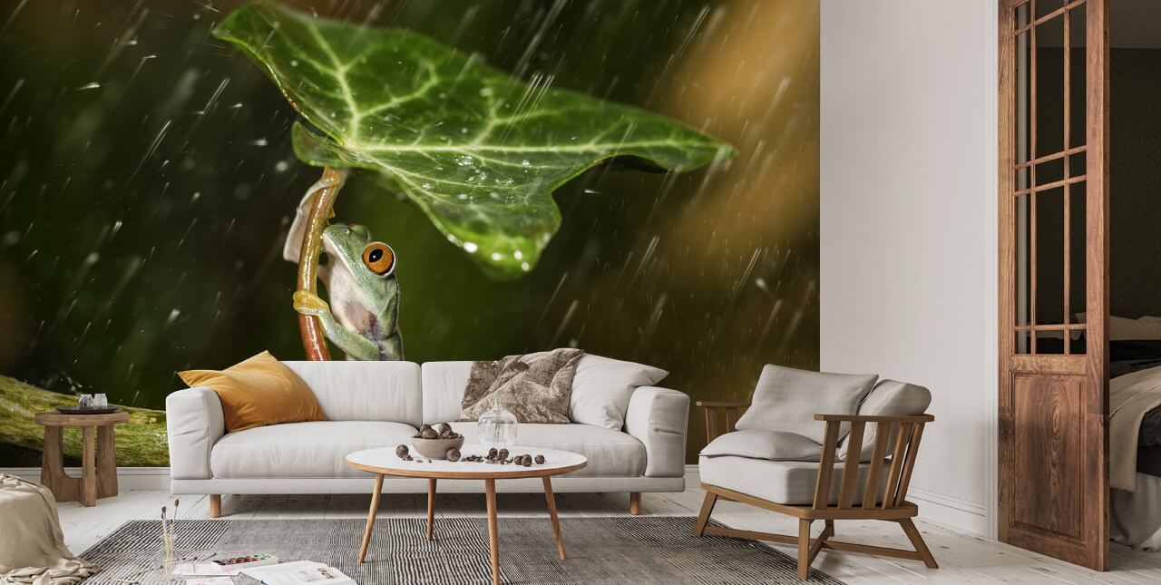 Improvisation Frog Wallpaper Mural | Wallsauce UK